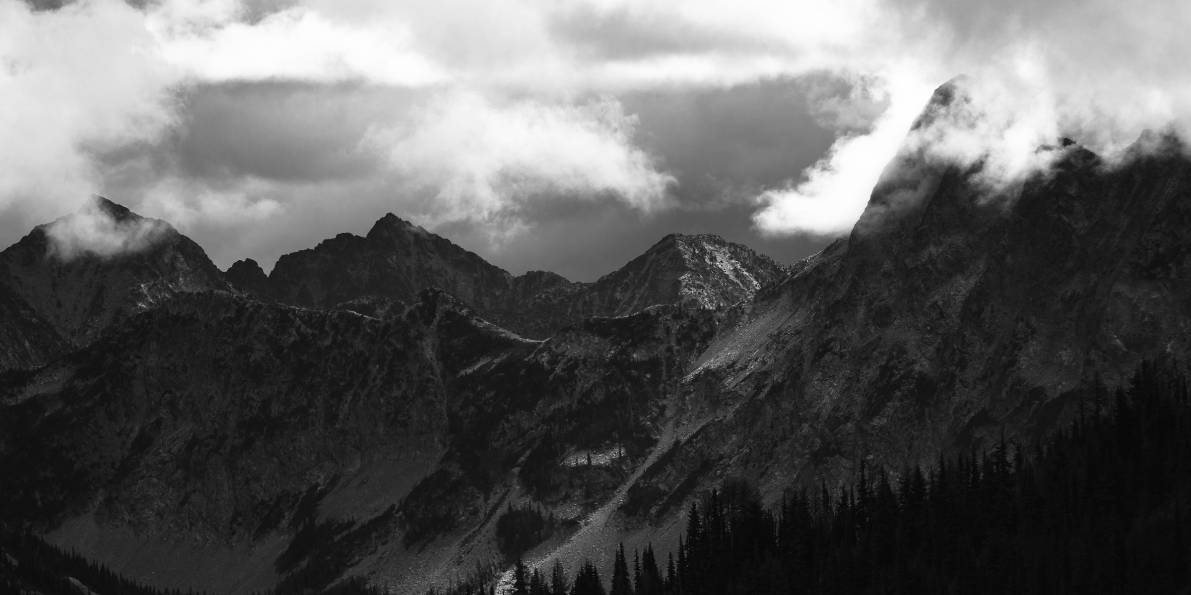 Trail Running Statistics | Freetrail Fantasy