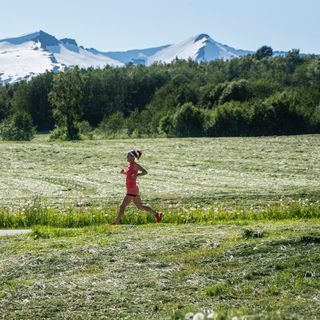 Trail Running Athletes | Freetrail Fantasy